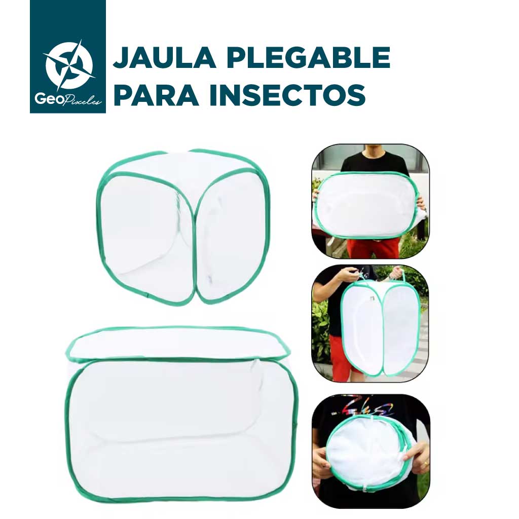 Jaula Plegable para insectos - Geopixeles Chile